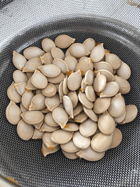 How to Save Squash Seeds - Julia Dimakos