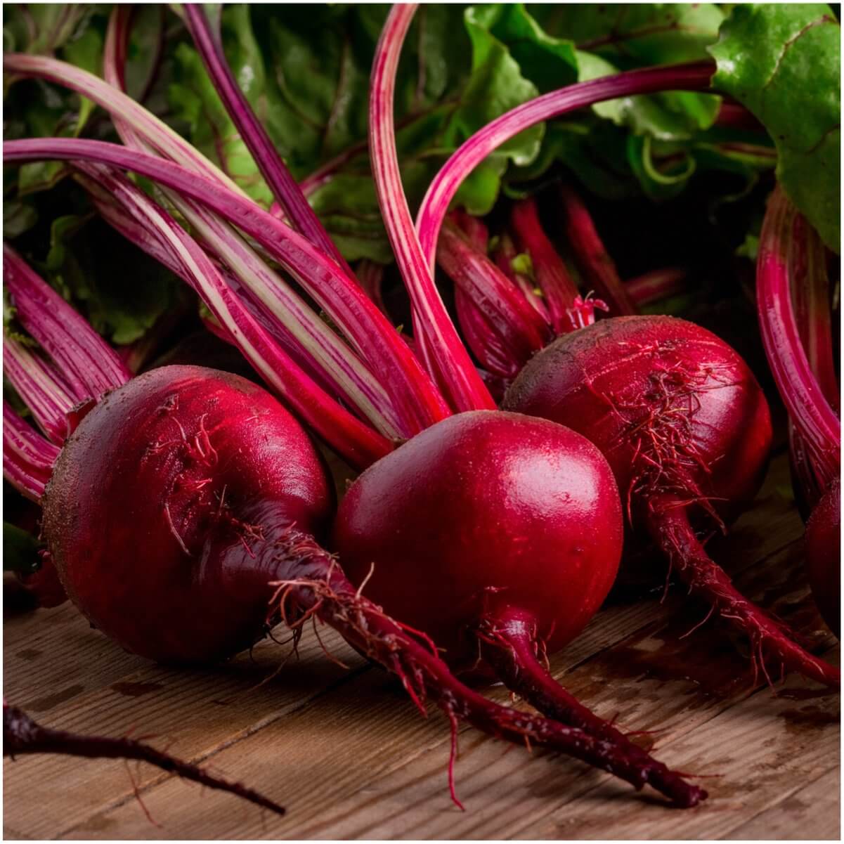 My Favourite Beet Varieties - Julia Dimakos