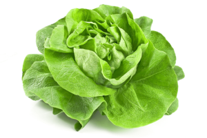 The 5 Types of Lettuce - Julia Dimakos