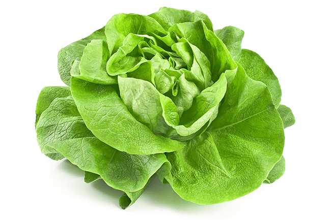 The 5 Types of Lettuce - Julia Dimakos