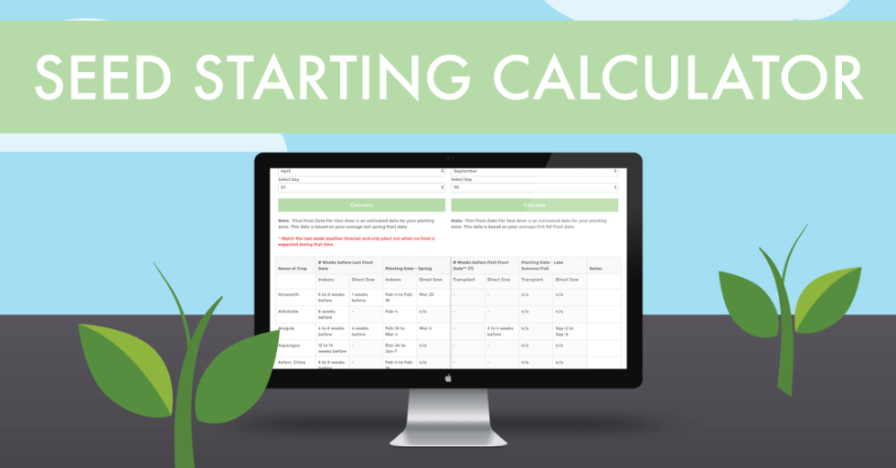 Seed Starting Calculator - Julia Dimakos
