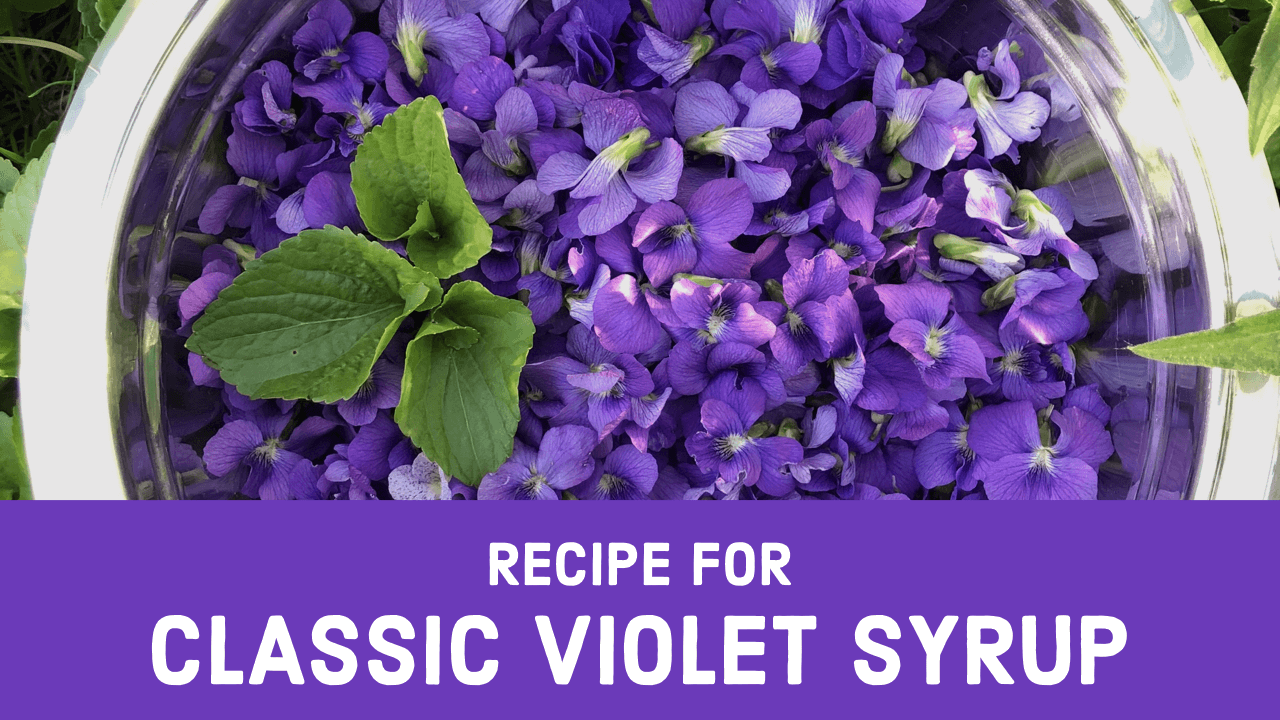 Recipe for Classic Violet Syrup - Julia Dimakos