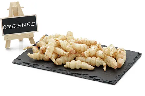 5 Best Perennial Vegetables for your Garden - Julia Dimakos